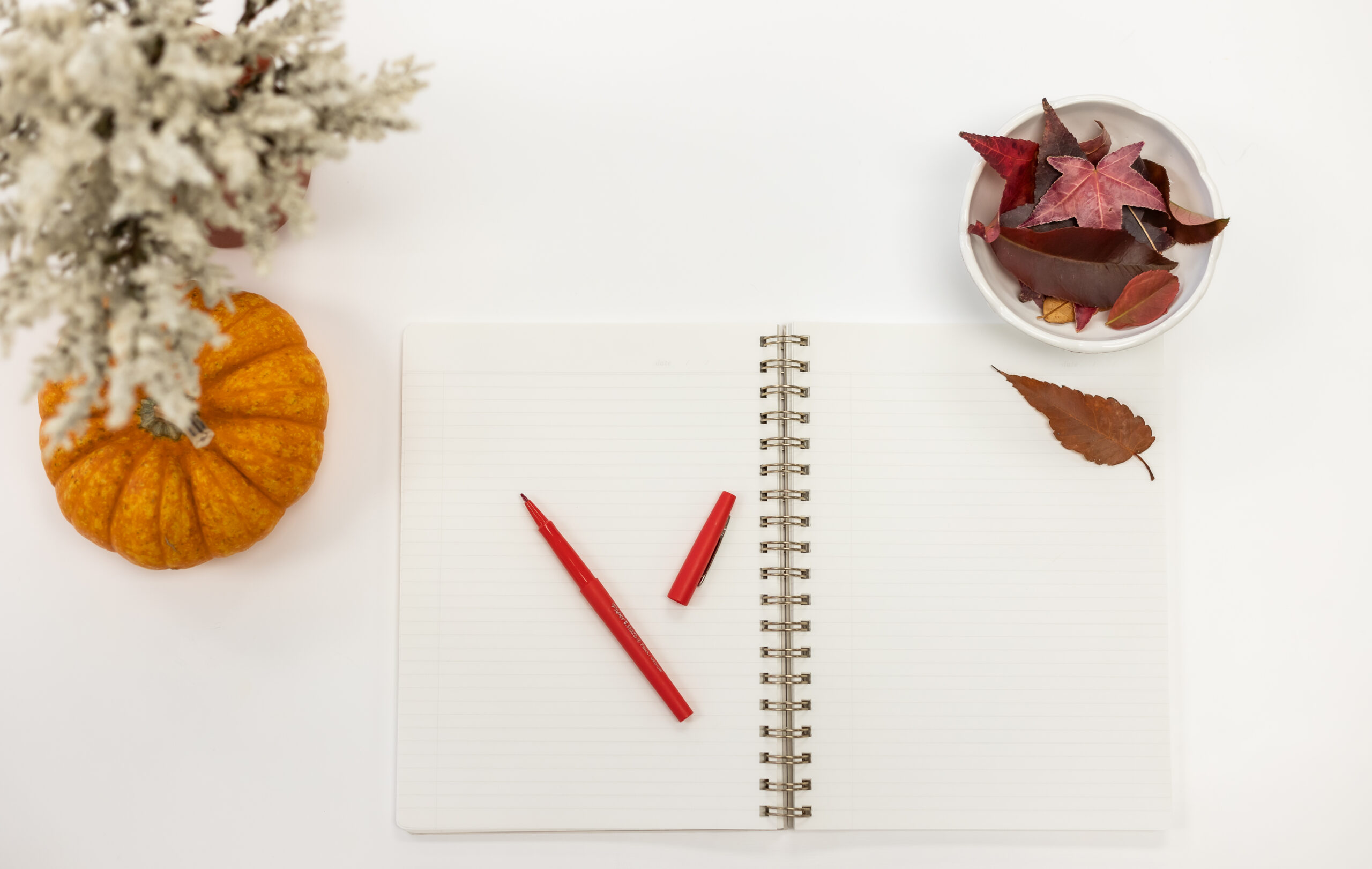 15 Gratitude Journal Prompts for a Heartfelt Reflection - Casually ...
